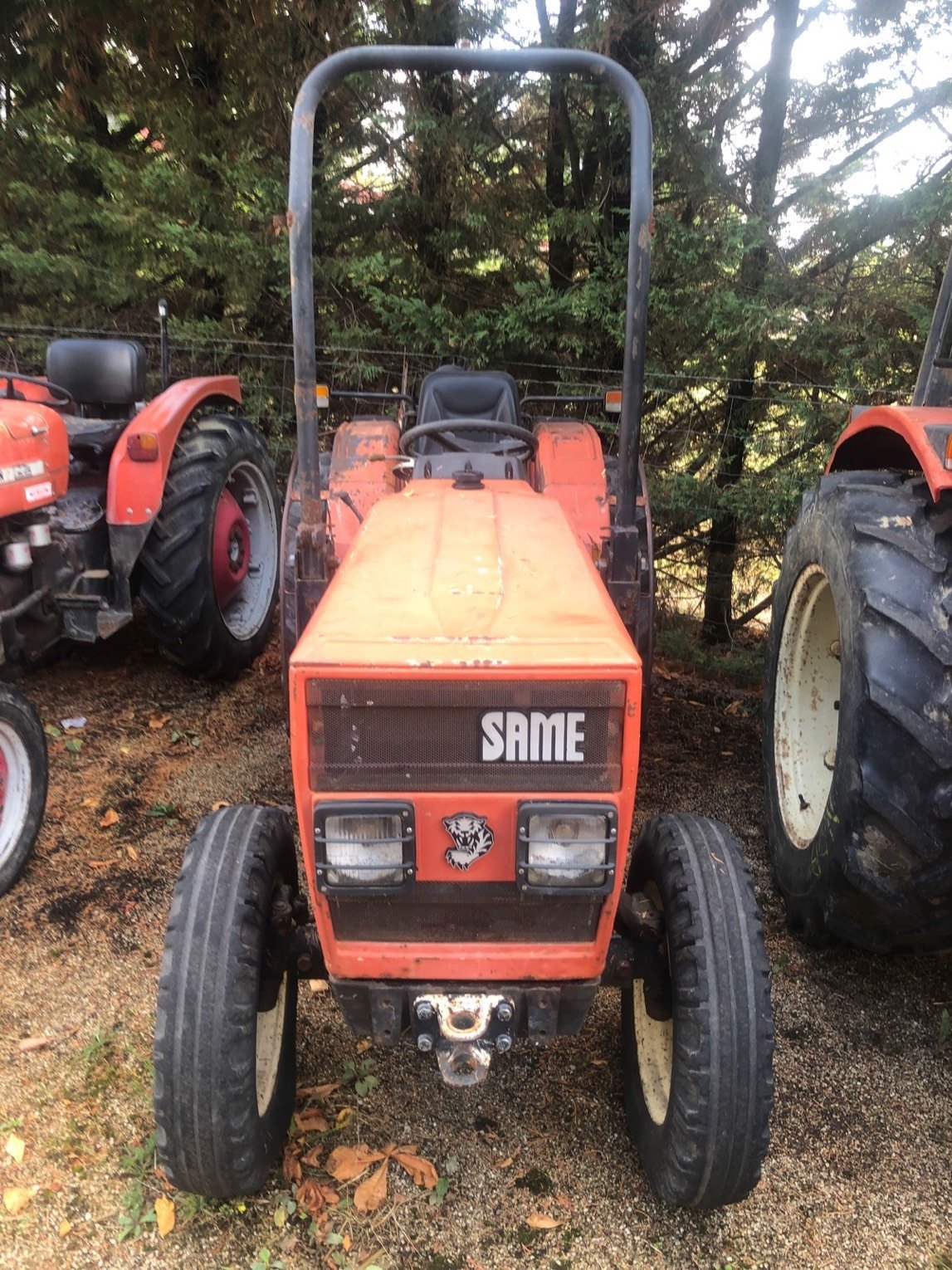Tracteur vigneron Same d'occasion en vente sur Morin